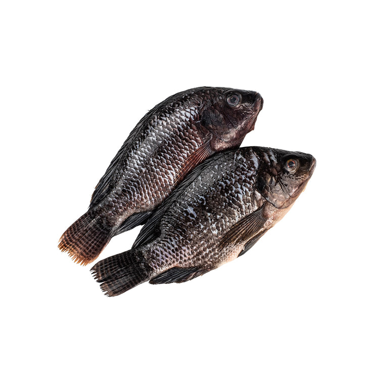 Farmboy Sinandomeng Rice 5 kg | Same-Day Delivery at AllMart – ALLMART SHOP